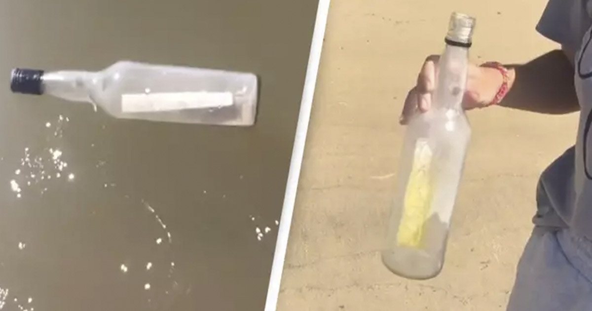 Couple makes dreadful discovery after finding what they thought was a ...