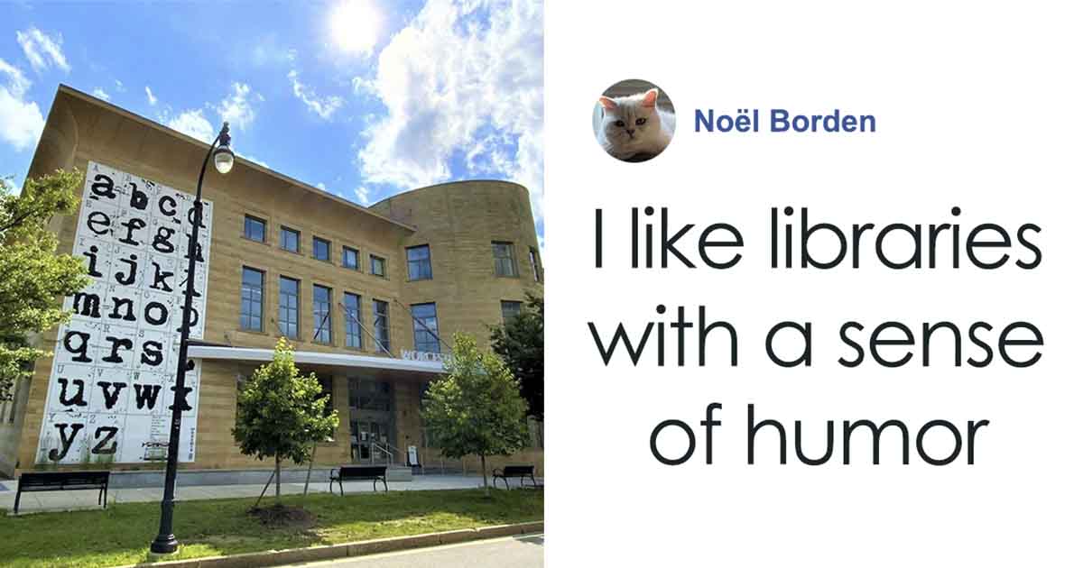 Library Lets You Pay Late Fees With Cat Pics (Yes, Really)