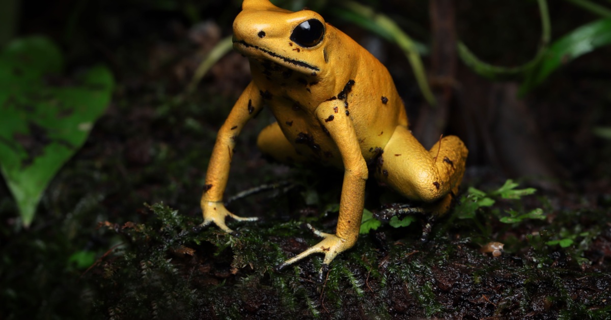 17 of The Scariest Animals On Earth