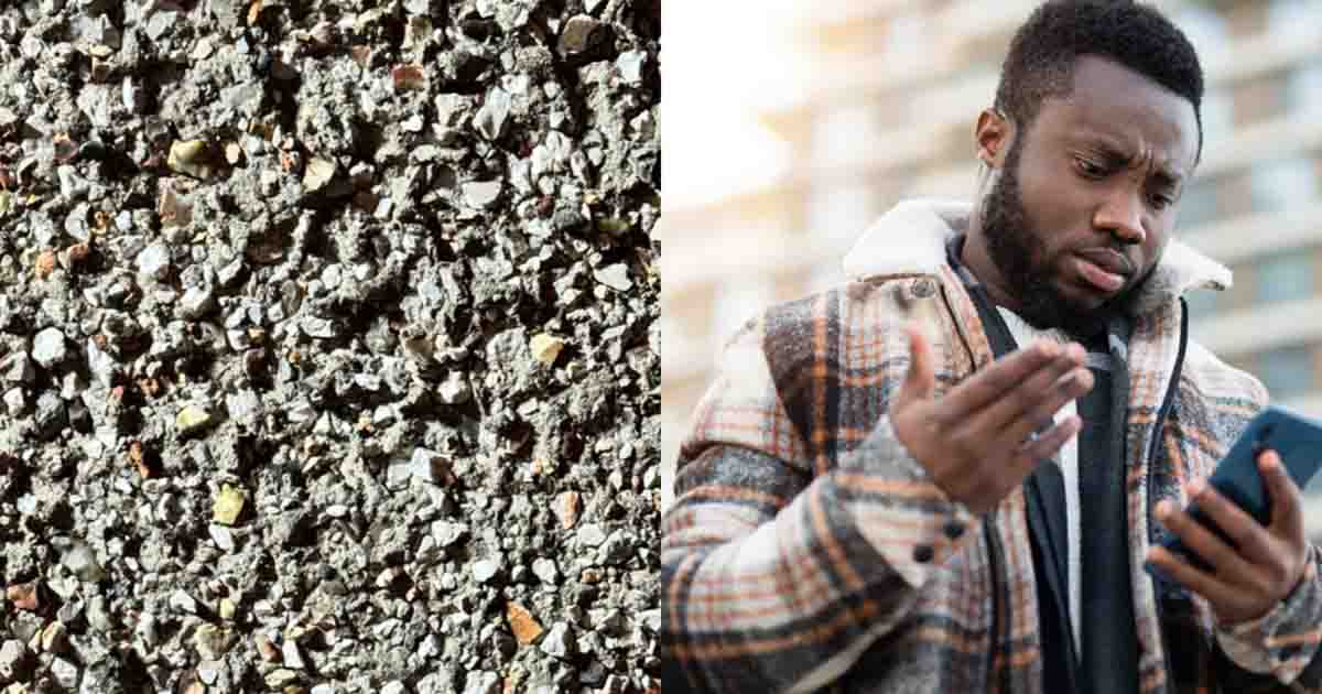 You’ve Got Eagle Eye Vision If You Can Spot The Hidden Moth In This ...