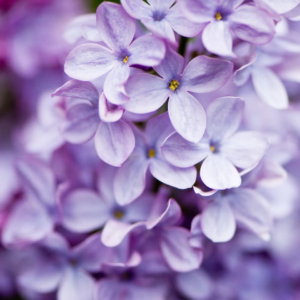 Your Birth Month's Color and Meaning, Explained : The Amazing Times