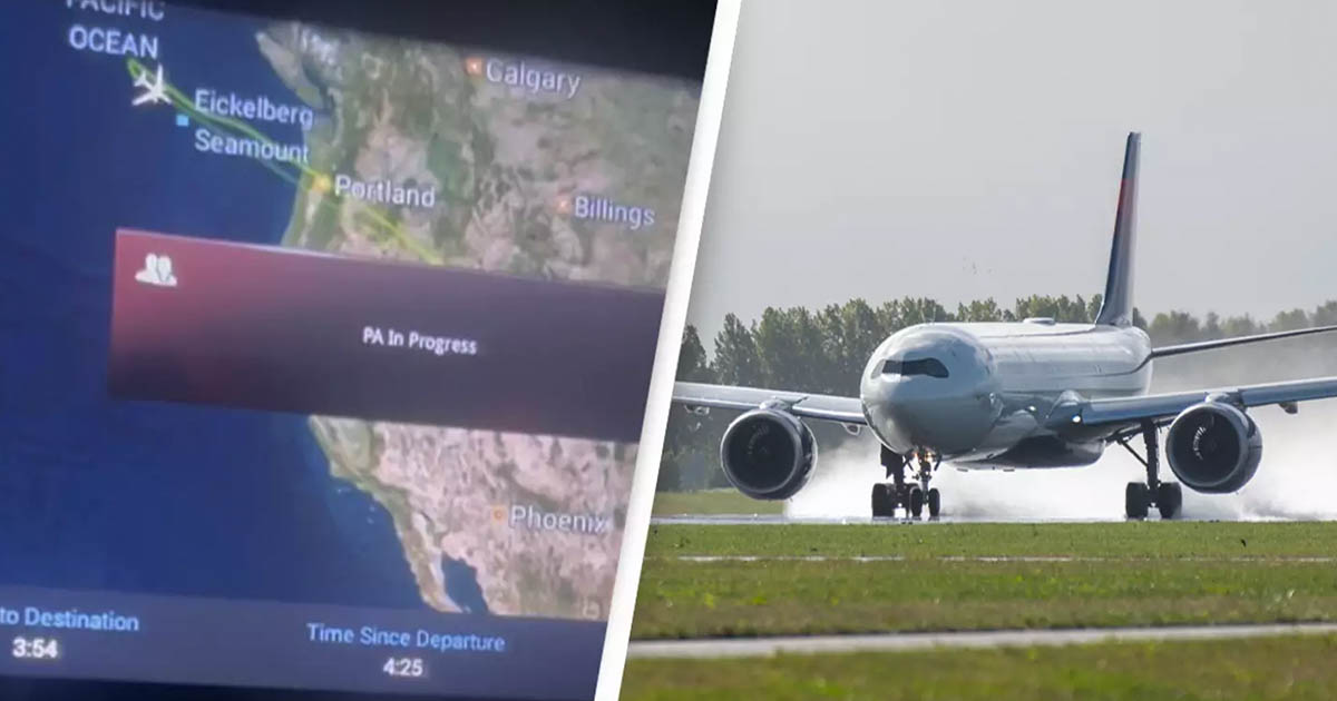 Passengers In Shock After Plane Flies For Nine Hours Only To Land At ...