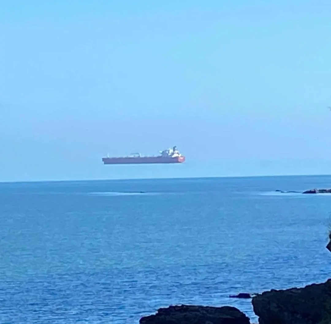 Optical Illusion: Can You Find The Hidden Horse in 8 Seconds? : The ...