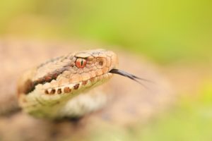 10 Weirdest Bible Stories You’ve Probably Never Heard