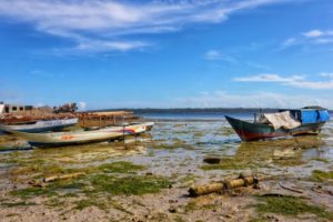 11 Natural Disaster Warning Signs You Should Never Ignore