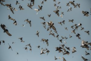 11 Natural Disaster Warning Signs You Should Never Ignore