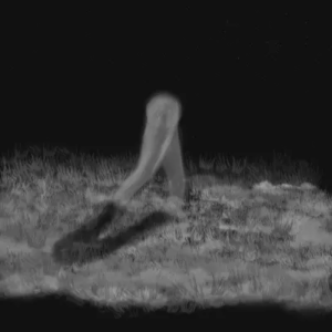 How the Fresno Nightcrawlers Crawled Out of California and Into Legend