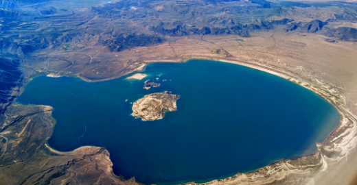 Fossil Found in California May Change Evolutionary History