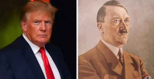 How Hitler Took Over Germany in Just 53 Days