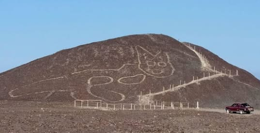 Forgotten Cat Geoglyph Surfaces in Peru After 2,000 Years