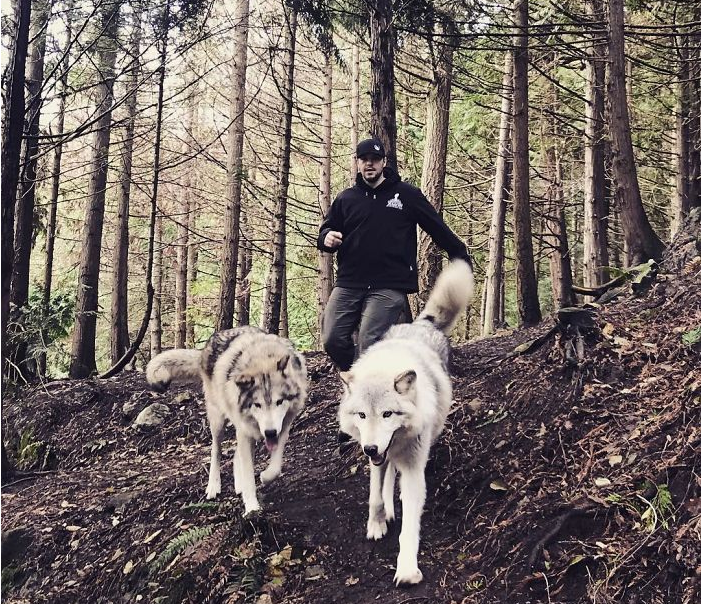 The Island Where Wolves Roam Freely And Welcome Visitors