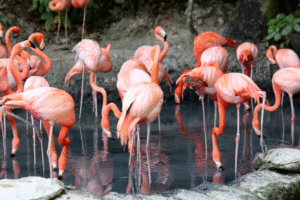 40+ Fascinating World Facts That Will Blow Your Mind : The Amazing Times