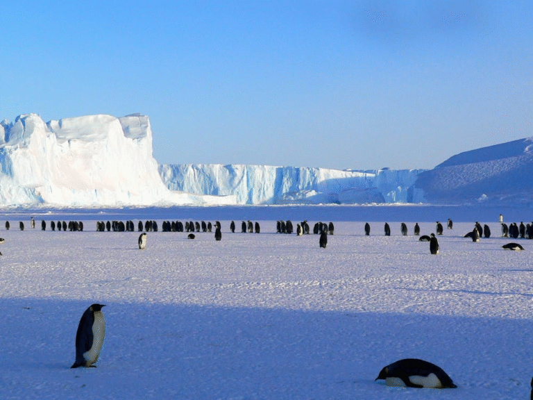 40+ Fascinating World Facts That Will Blow Your Mind : The Amazing Times